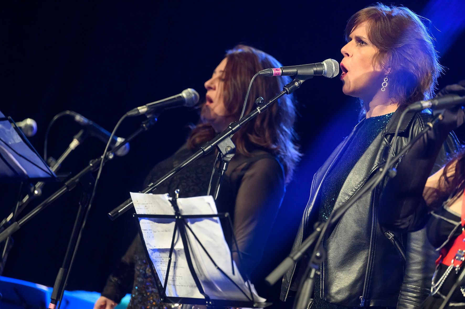 Birmingham Poet Laureate writes for Brum Rocks Live | The Birmingham Press